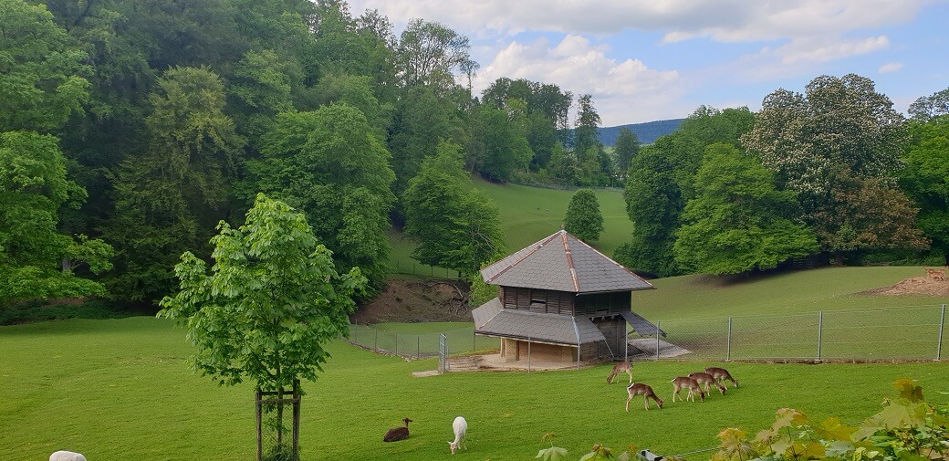 An Amazing Wildlife Park to Explore | Hospitality Stories